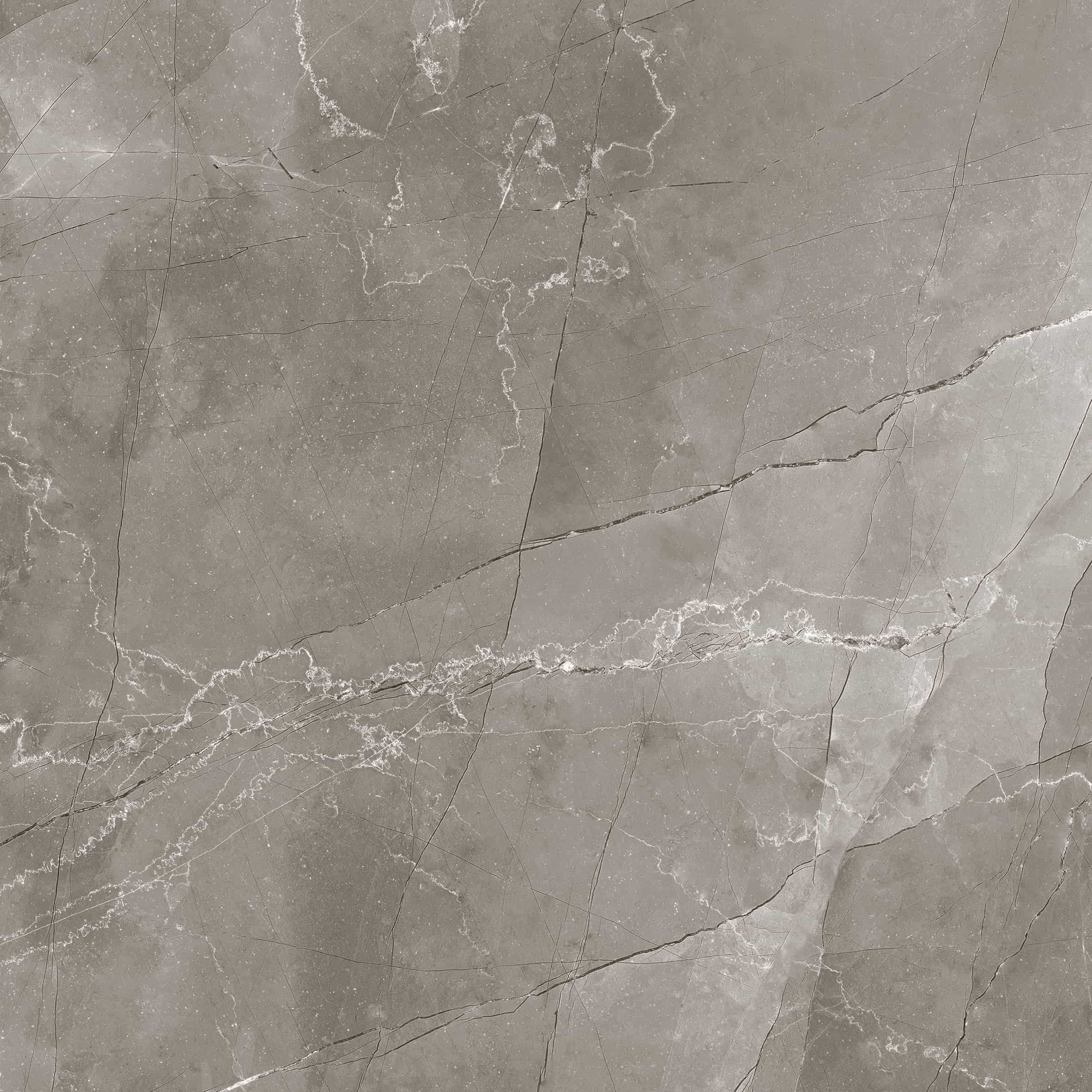 Liza Gray – ZH Tiles Warehouse inc.