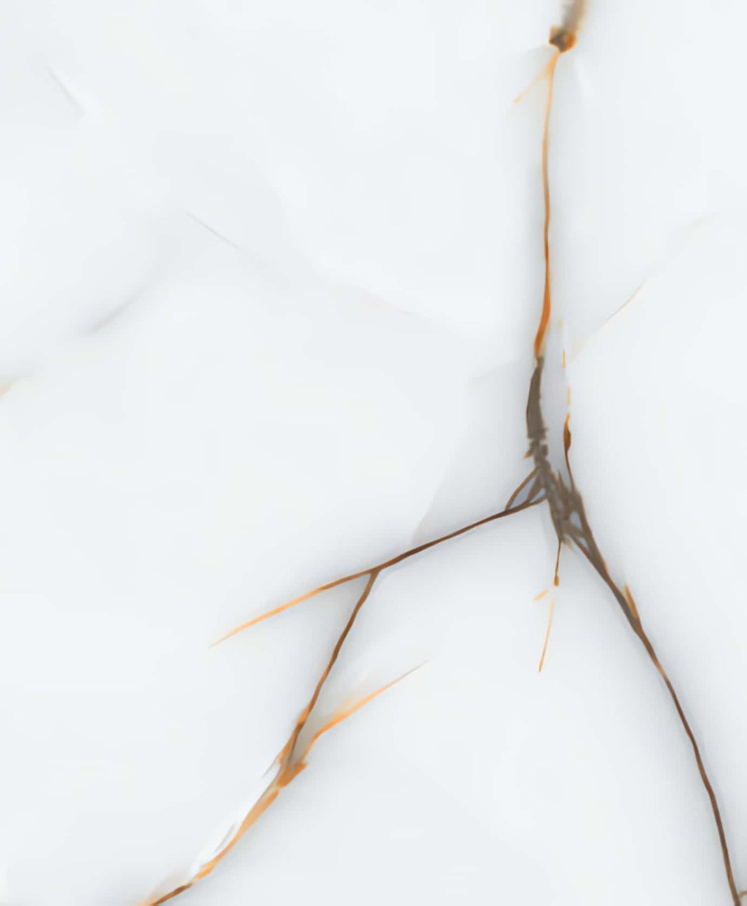 Jack Lewis White Polished – ZH Tiles Warehouse inc.